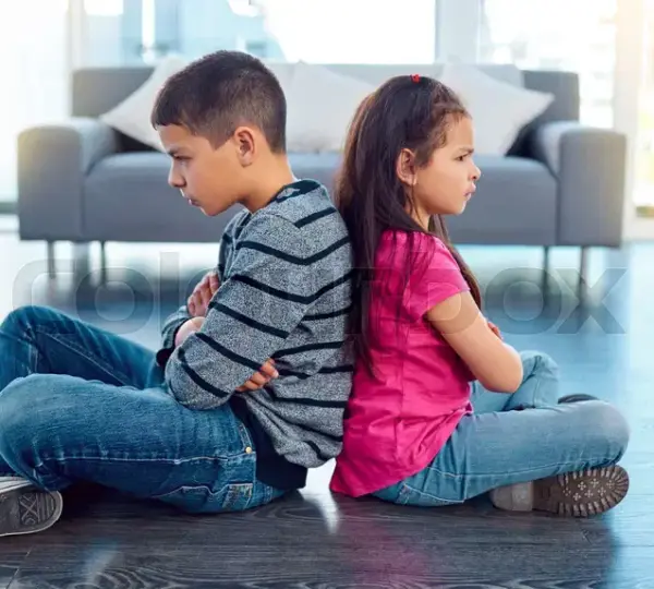 I refused my sister’s $20,000 loan request, and in anger, she smashed ...