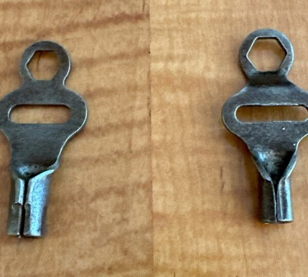 The Tiny Key That Unlocked Endless Adventures - Likya